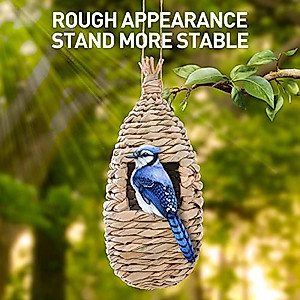 WDEFUN Humming Bird Houses for Outdoor Hanging, Natural Grass Bird Hut,Hand Woven Hummingbird Nest,Wren Finch Bird House for Garden Window Outdoor Home 3 Pack