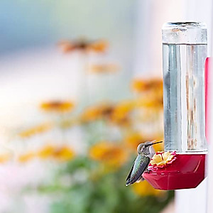 Perky-Pet 455-2 Mounted 445-2 Glass Window Hummingbird Feeder, Red – 14 oz