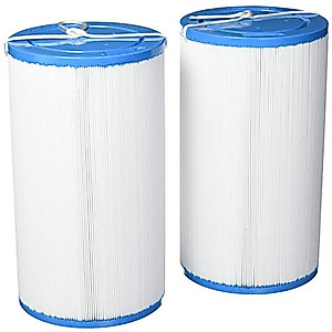 Smart Spa Supply HSAK-4031-2 2 Pack-Hot Springs Freeflow Spa Replacement Filter-303279, White and Blue