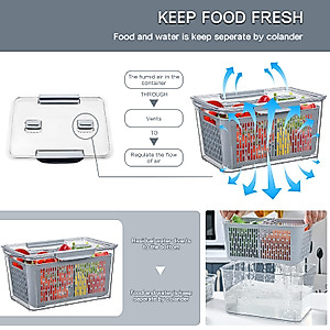Fistone Fresh Produce Fruit Vegetable Storage Containers 3Piece Set, BPA-Free Fridge Storage Container with Lid & Colander, Fridge Organizers, Keep Fresh for Produce,Fruit and Vegetable
