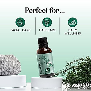 Certified Organic Rosemary Oil for Hair - Pure USDA Organic Rosemary Essential Oil for Hair Skin and Nails Plus Aromatherapy - Organic Hair Oil for Dry Scalp Treatment and Enhanced Volume and Shine