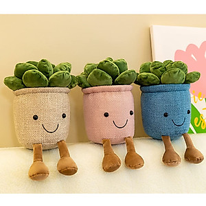 NatureMan Stuffed Plants Succulent Plush, Soft Fluffy Toy Succulent Plants Friend Throw Pillow,Succulents Plushies Pillow Toy Room (Khaki)