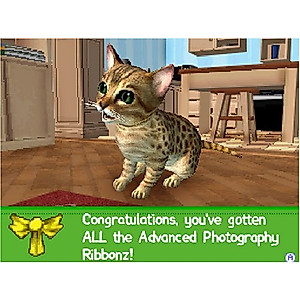 Petz Catz 2 - Nintendo DS (Renewed)
