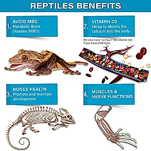 Gargeer 4oz All Reptile Calcium Powder with Vitamin D3, Phosphorus-Free, Ultrafine Powder, Pure Dust & Ready to Use for All Reptiles, Lizards & Amphibians Supplement. Made in The USA. Enjoy !