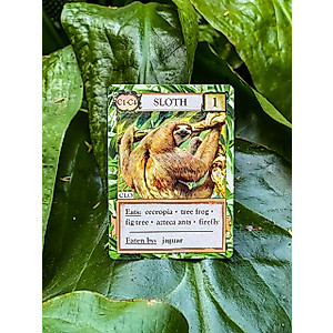 Montrose Biology Ecologies: Hidden Habitats - Use Science to Build Food Webs in 7 Biomes - Beautiful Vintage Nature Art for The Classroom or Game Night