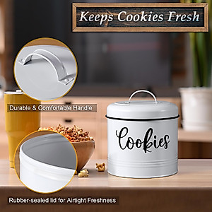 DAYYET Farmhouse Cookie Jar for Kitchen Counter, 1 Gallon Vintage Cookie Jar with Airtight Lid, Large Food Storage Container for Candy, Cookies, Dessert, Rustic Kitchen Decor and Accessories