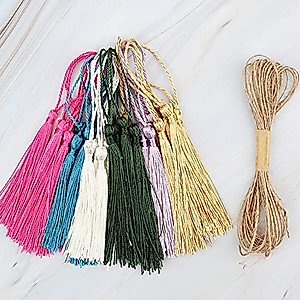 RAHATA Acrylic Bookmarks Blanks Bulk 30 PCS Clear Bookmark Clear Plastic Set for Vinyl DIY Craft (3 Shape of Bookmarks and 6 Color Tassels)