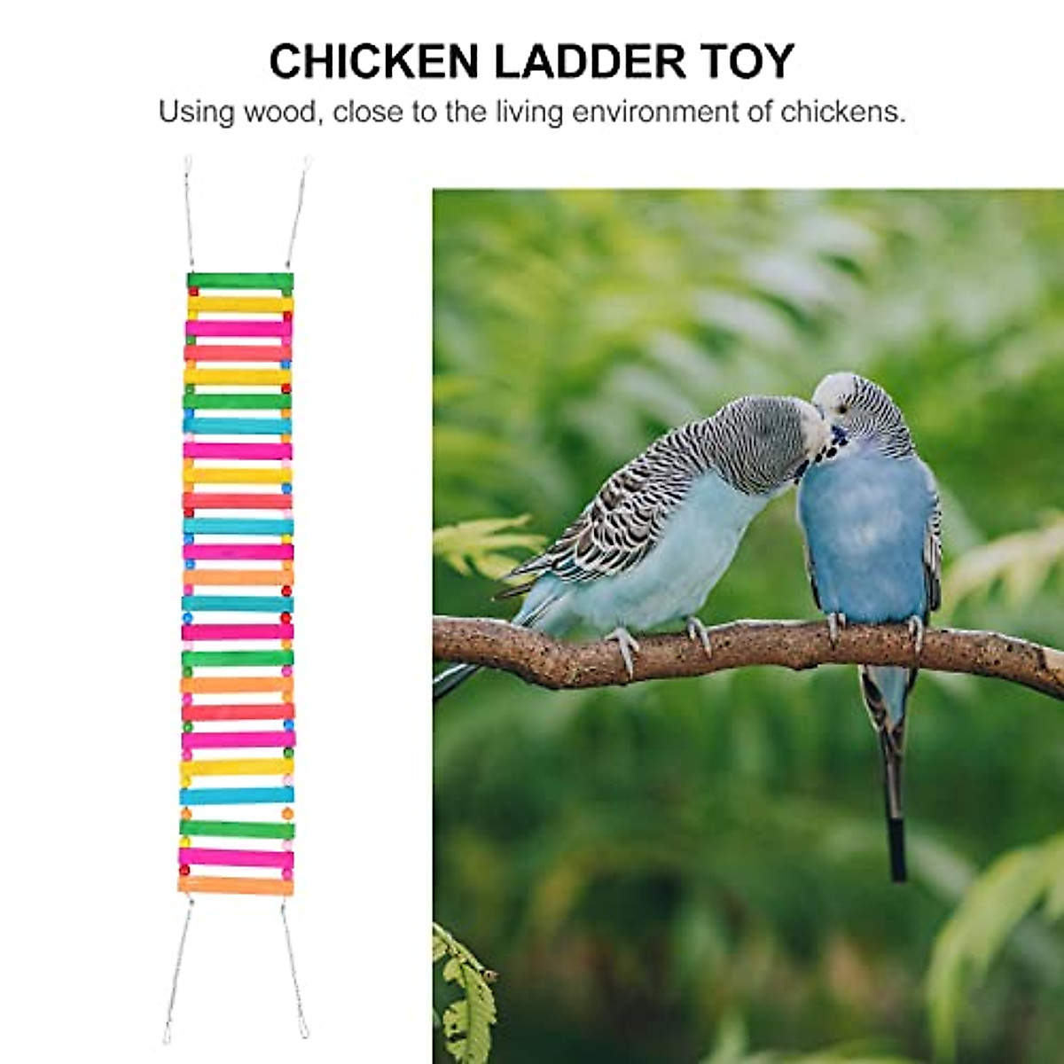 PATKAW Wooden Toys Parrot Toys Parrot Toys of 2 Chicken Swing Toy Pet Chicken Swing Toys Wood Chicken Swing Chicken Swing Toys Chicken Ladder: Climbing Climbing Toys Climbing Toys Parakeet Toys