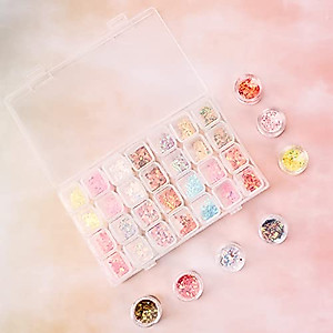 Segbeauty Gem Organizer, Clear Bead Container 28 Compartments with Secure Lids, Removable Tiny Jewelry Storage Box, Transparent Jewelry Organizer for Seeds Craft Making Accessories