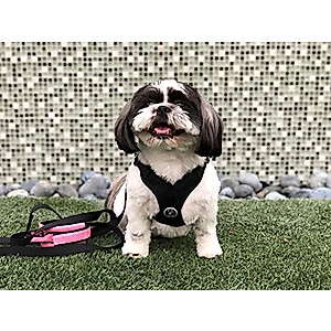 Gooby Comfort X Step in Harness - Black, X-Large - No Pull Small Dog Harness Patented Choke-Free X Frame - Perfect on The Go Dog Harness for Medium Dogs No Pull or Small Dogs