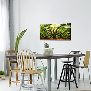 Conipit Landscape Canvas Artwork Angel Oak Tree Picture Prints Sunshine Through Tree Canvas Green Oak Tree Painting South Carolina Tree Print Framed and Stretched Nature Canvas (W-40xH-20)