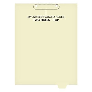 Individual Chart Divider Sheets Used to Build Chart Divider Sets for Medical Practices, 1/6th Cut, Tabs on Bottom, Position: #6, Blank (Pack of 100)