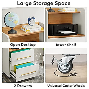 Tribesigns Lateral File Cabinet with 2 Drawers, Modern White Filing Cabinet Wood Rolling Filing Cabinets for Letter/Letter/A4 Size Files, Mobile Printer Stand with Open Shelves for Home Office (43"H)