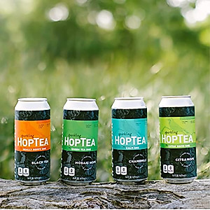 HOPLARK Sparkling HopTea - The Core Variety Pack - Craft Brewed NA Beer Alternative - Organic, Gluten-Free, Non GMO, Zero Calories, Sugar-Free, Unsweetened (12, 16oz Cans)