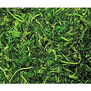 Broccoli Rabe Friarielli Preserved in EVOO - Maida Farm, Campania, Italy