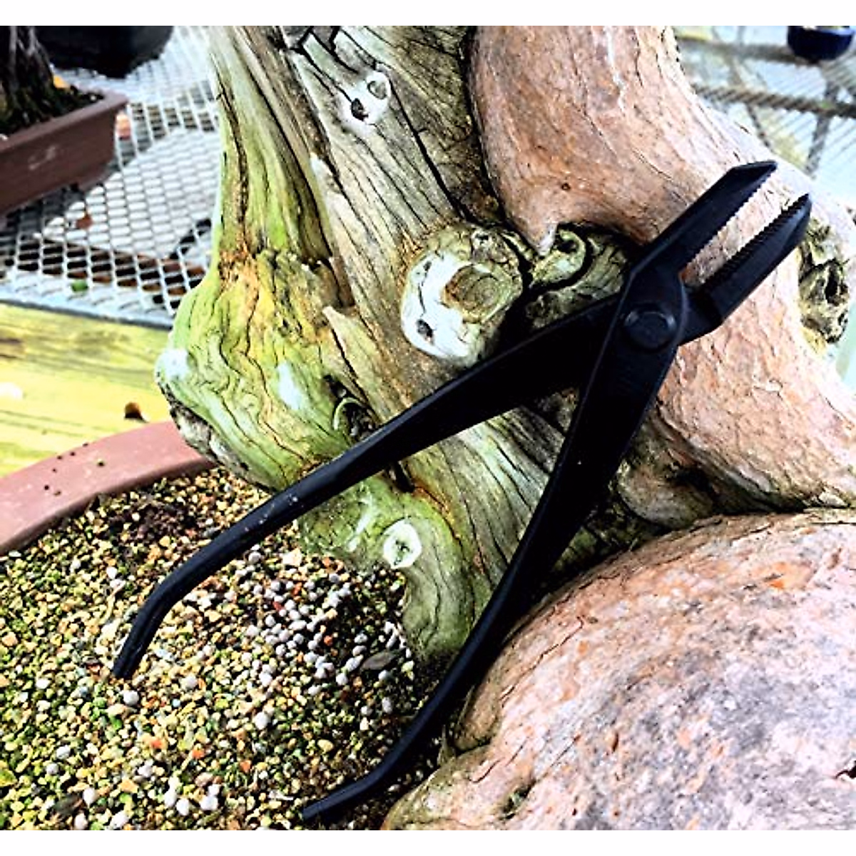 Tinyroots Heavy Duty Carbon Steel Jin Pliers. Perfect for Jin, and Also Great for Applying or Removing Bonsai Wire. 210 mm…