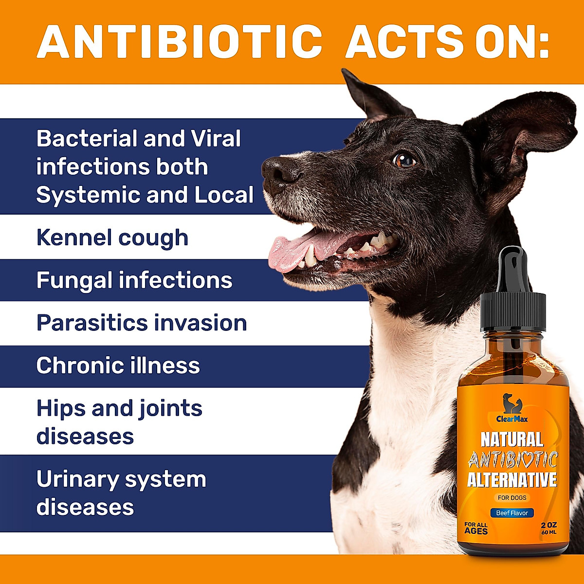 Antibiotic for Dogs ◆ Dog Antibiotic ◆ Natural Antibiotics for Dogs ◆ Pet Antibiotic ◆ Dog Antibiotics with Beef Flavor ◆ 2 Oz