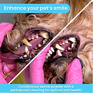 Pawtitas Dog Dental Spray Peppermint Spearmint Fresh Breath Water additive Help Prevent Tartar and Bad Breath | Manufactured with Certified Organic Ingredients (8 Ounces)