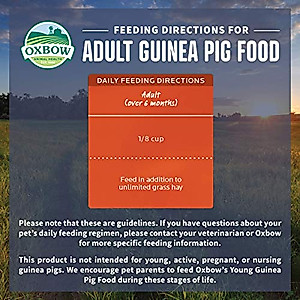 Oxbow Essentials Adult Guinea Pig Food - All Natural Adult Guinea Pig Pellets - 10 lb.