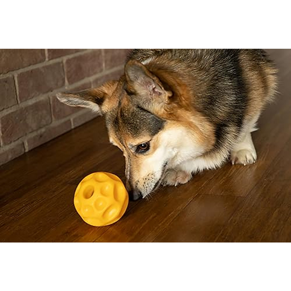 Starmark Treat Dispensing Tetraflex Dog Toy Large