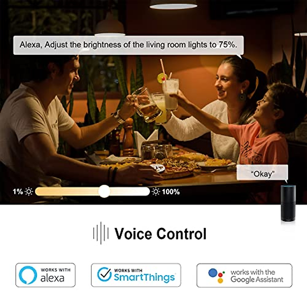 3-Way Smart WiFi Dimmer Light Switch, in-Wall, No Hub Required, Compatible with Alexa and Google Home, ETL and FCC Listed（WF31S）