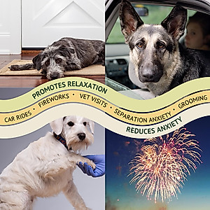 ShelterBaby Calming Herbal Extract for Dogs, dark brown