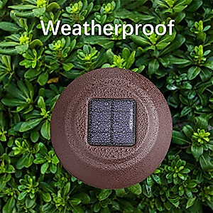 GIGALUMI Super Bright Solar Outdoor Lights 4 Pack, Waterproof Metal Automatic Path Lights with Glass Stainless Steel, Solar Yard Lights Decorative for Path, Garden, Lawn, Patio and Walkway