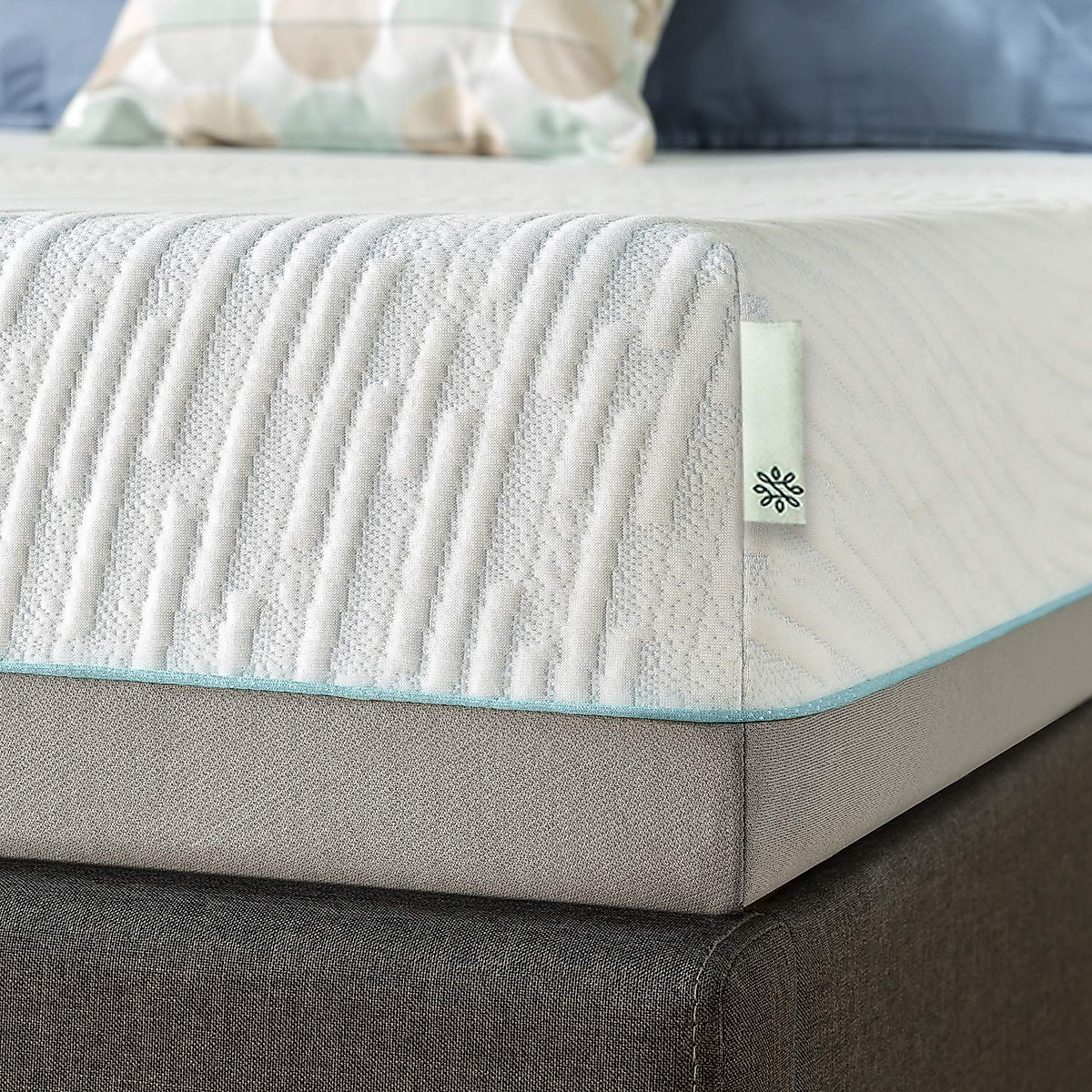 Zinus 8 Inch Green Tea Pressure Relief Memory Foam Mattress/Zoned Airflow Design/CertiPUR-US Certified/Bed-in-a-Box, Twin