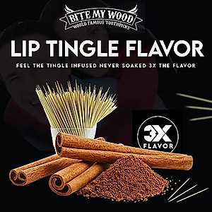 BiteMyWood Cinnamon Toothpicks For Adults Long Lasting Super Hot And Spicy Cinnamon Flavored Toothpicks Perfect For Someone Trying To Quit Smoking Lip Tingling Cinnamon Flavor (300 Picks)