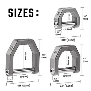 MecArmy Titanium D Shape Key Ring, Key Fob Holder D Ring Keychain with Screw Shackle for Car Keys Purse D Ring Screw Shackle Keychain for Everyday Carry Women Men(Sandblasted Small)