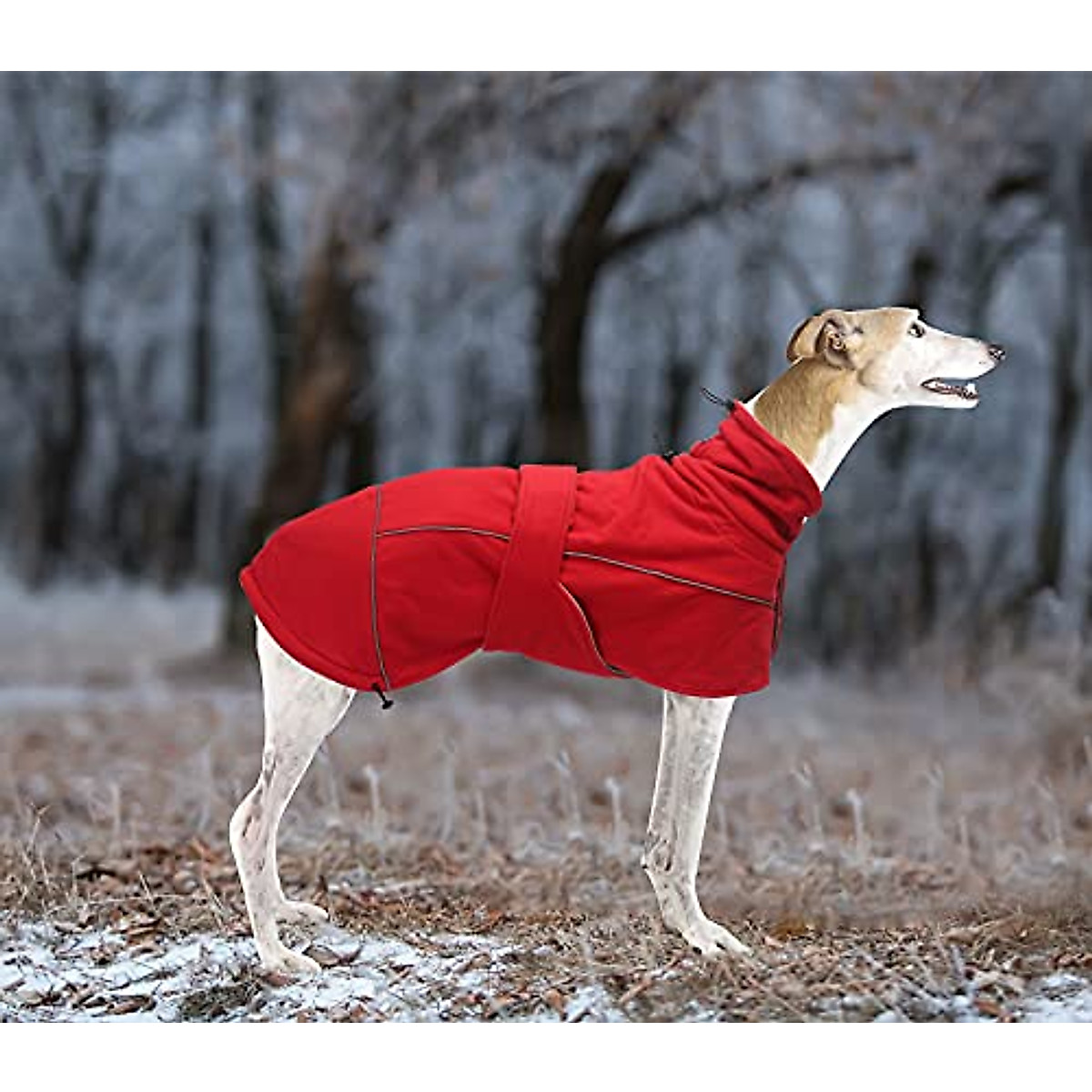 Greyhound Lurcher Winter Coat, Whippet Warm Coat with Fleece, Water Resistant Dog Jacket with Adjustable Bands and Zipper Harness Hole - Red - XSmall