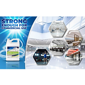 Limestone and Travertine Floor Cleaner: Marble, Slate, Polished Concrete, honed or tumbled surfaces.1-QT AND Ultimate Grout Cleaner:Safe Deep Cleaner & Stain Remover for Even The Dirtiest Grout.1-QT