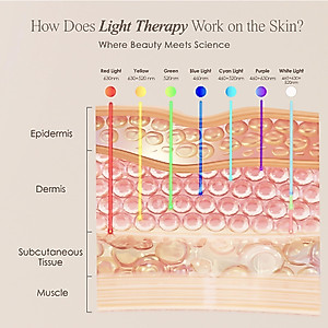 Project E Beauty Skin Rejuvenation Photon Mask | LED Face Mask Light Therapy Red Blue Light Anti-Aging Wrinkle Spa Facial Treatment Home Skincare Mask