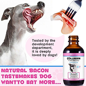 2Pack Collagen for Dogs,Liquid Collagen for Dogs,Collagen Supplement for Dogs,Collagen Boost for Dogs with Biotin, MSM & Ginger,Delicious Bacon Flavor,2 Fl Oz