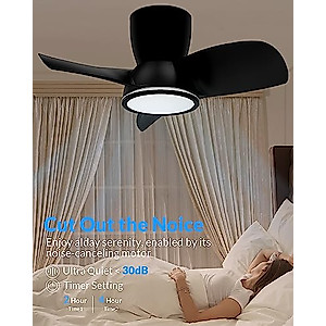 Ceiling Fan with Lights and Remote,30” Flush Mount Ceiling Fans Large Air Volume,4 Speeds,Reversible,Timer,Dimmable LED Lights,Super Quiet Low Profile Ceiling Fan with light for Bedroom Kitchen Patio.