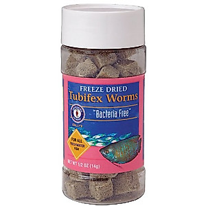 San Francisco Bay Brand Freeze Dried Tubifex 1/2 oz.