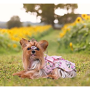 MSNFOASM 4pcs-New Spring Summer Puppy Dog Dress,Cute Colored Sun Flower Dog Bow Skirt for Small Girl Dogs(Floral,M)