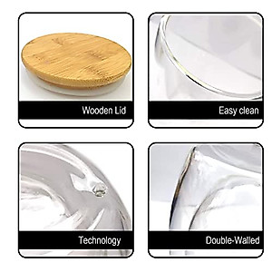 ZHMTang Glass Coffee Mug Double-walled Borosilicate Glass Cup for Hot or Iced Coffee, Milk, Tea (16 Oz Bamboo Lid)