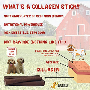 Dog Chits Beef Collagen Sticks for Dogs and Puppies | 12 Inch | Naturally Loaded w/Collagen | Amazing for Joints and Skin | Odor Free | All Natural | Long Lasting Chew | Grass Fed Beef | 6 Pack