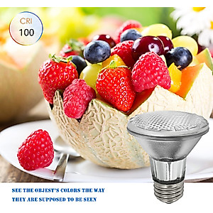 Par20 Bulbs, 2 Pcs 120V 50W Par20 Flood Light Bulbs, E26 Medium Base Long Lasting Life High Output Reflector Flood Lights -Warm Light