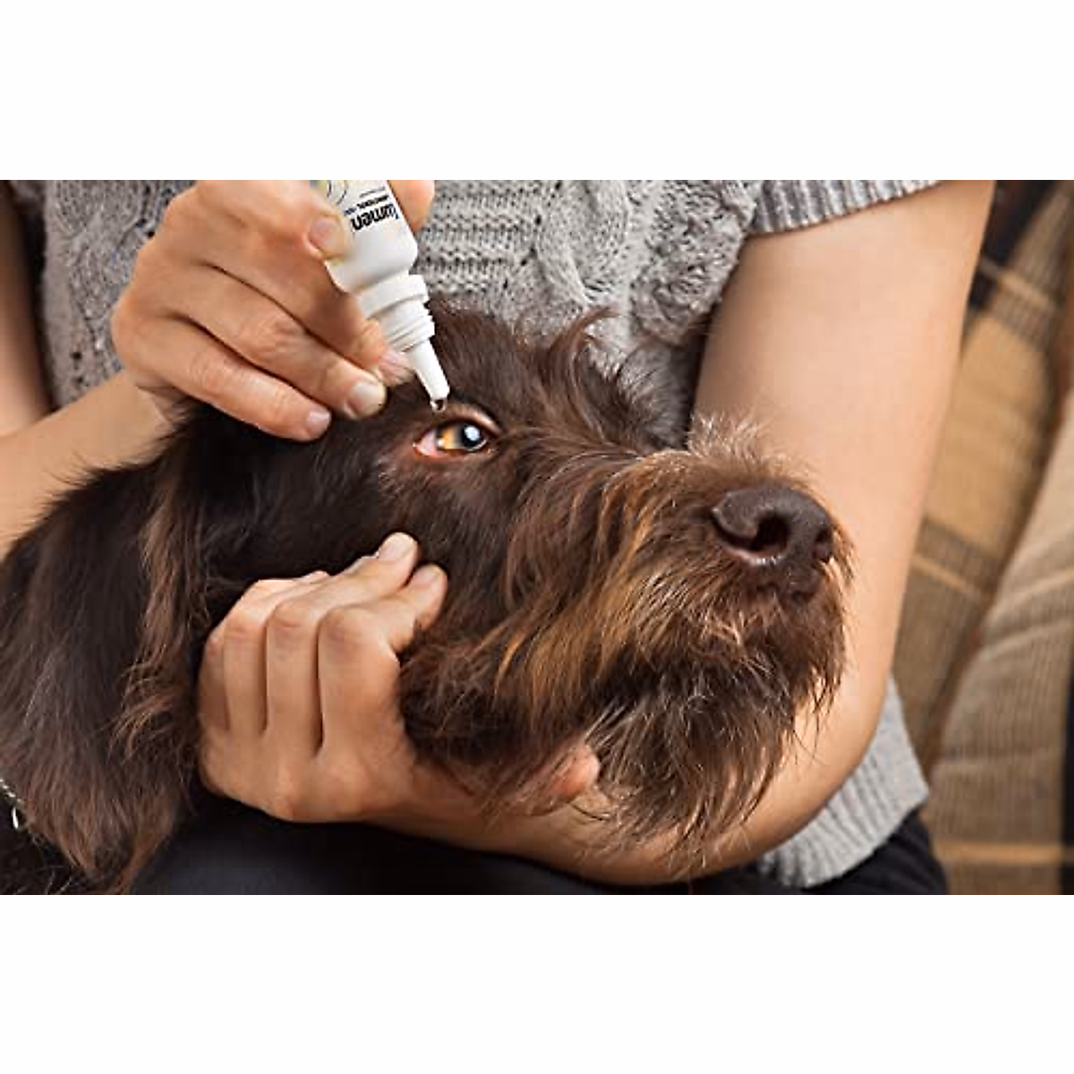 LumenPro Pet Eye Drops - Advanced Vision Support Eye Drops for Dogs with Cataracts - Lanosterol Eye Drops with Antioxidants +NAC Solution - Cataract Drops for Dogs, Cats, Horses, Rabbit (10ml)