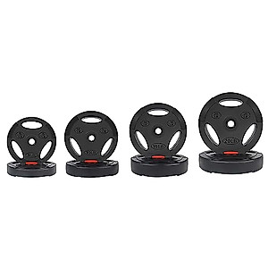 Signature Fitness 100LBS Vinyl Standard 1-Inch Plate Weight Plate for Strength Training and Weightlifting