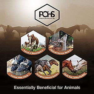 POHS Himalayan Rock Salt Lick 6 lbs Pack of 2 with Rope for Horse, Deer, Sheep, Cow, Goat, Livestock Animals - Original Himalayan Rock Salt Block