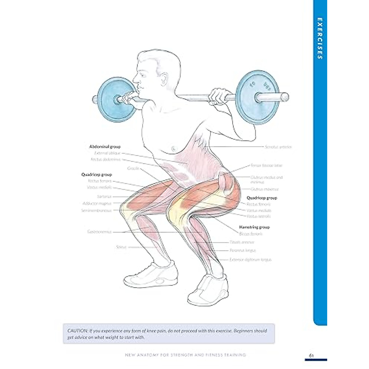 New Anatomy for Strength & Fitness Training: An Illustrated Guide to Your Muscles in Action Including Exercises Used in CrossFit (R), P90X (R), and Other Popular Fitness Programs (IMM Lifestyle Books)