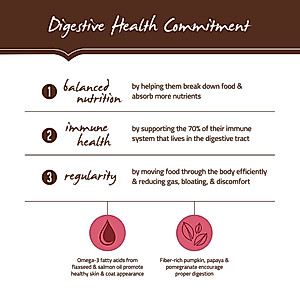 Holistic Select Natural Grain Free Dry Dog Food, Adult & Puppy Salmon, Anchovy & Sardine Recipe, 24-Pound Bag