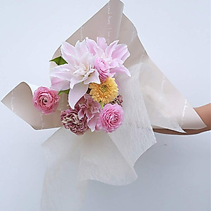 BBJ WRAPS Korean Wrapping Paper Gift Flower Wrapping Cotton Waterproof Bouquet Packaging Tissue Paper Florist Supplies 15 Sheets, 22.8 x 22.8 Inch (Champagne)