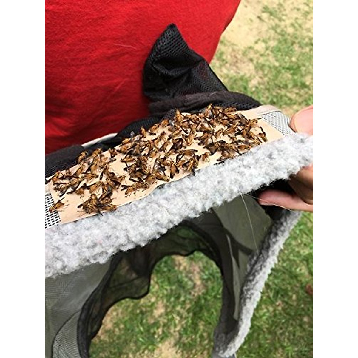 Trednot 12 Horsefly Patches/Sticky Horse Fly Traps