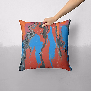 iiRov Abstract Wet Paint Retro V4 - Custom Decorative Home Decor Indoor or Outdoor Throw Pillow Cover Plus Cushion Set for Sofa, Bed or Couch (Pillow CASE Cover Plus Cushion)
