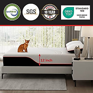 MLILY Cal King Mattress, Manchester United 12 Inch Memory Foam Mattress, Cool Sleep & Pressure Relief, Made in USA, White