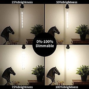 HXM T300 LED Bulb, 6W Dimmable T30 LED Tubular Bulb, Retro Edison LED Long Tube Bulb 6W, 60W Incandescent Bulb Equivalent, 4000K Dayligt White, Transparent Glass, E26,Pack of 4